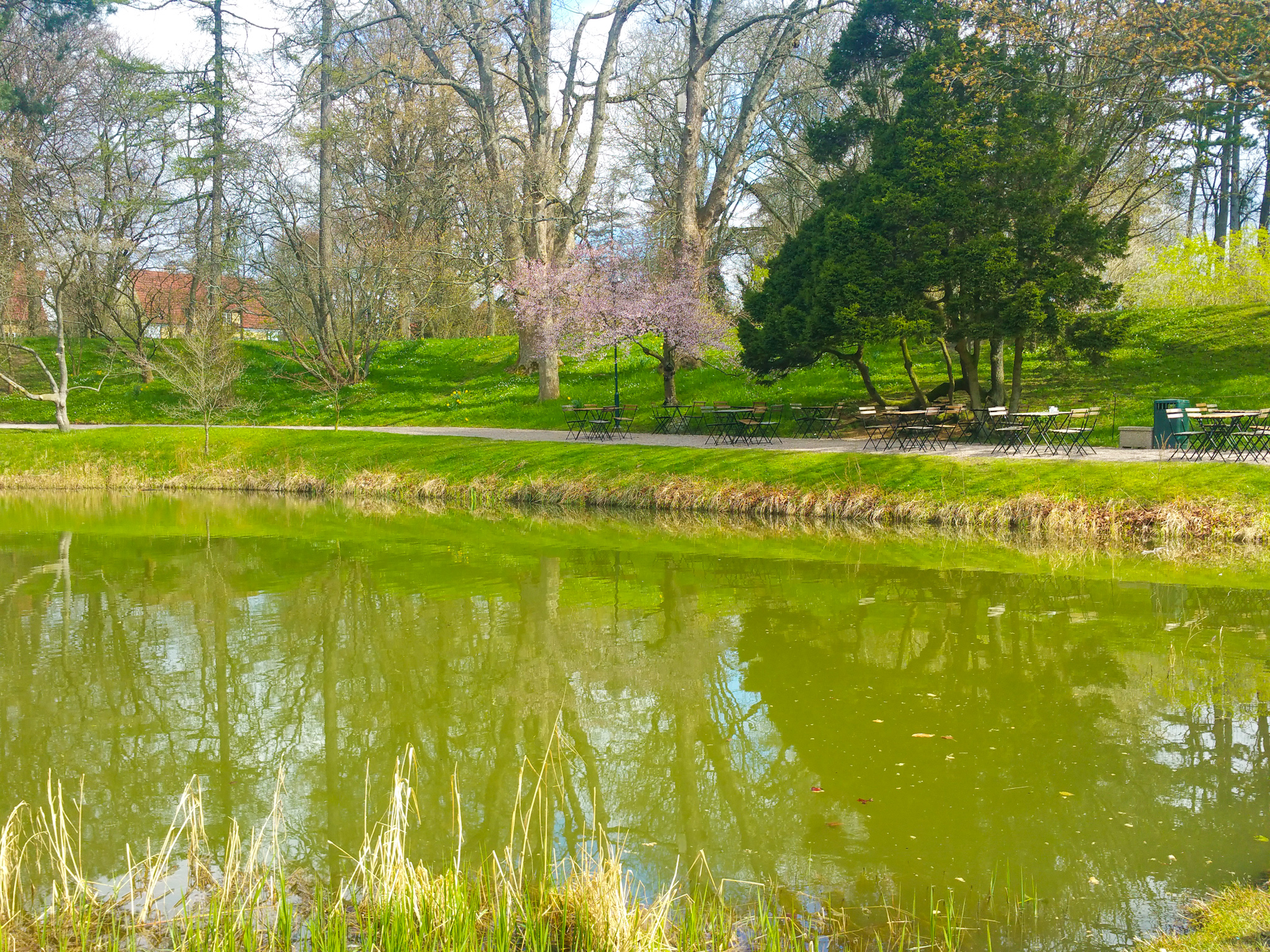 Best Things To Do In Lund Sweden | The Top 6 Must Do Things in Lund