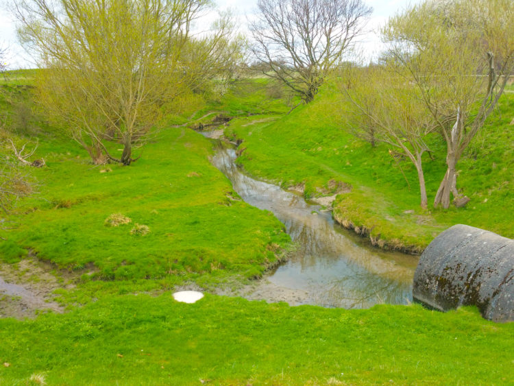 Best Things To Do In Lund Sweden | The Top 6 Must Do Things in Lund