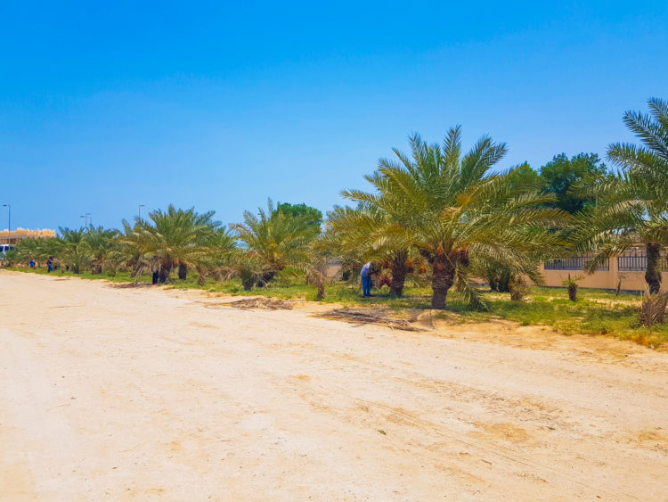 Things To Do In Bahrain In One Day | Bahrain Blog Must Visit