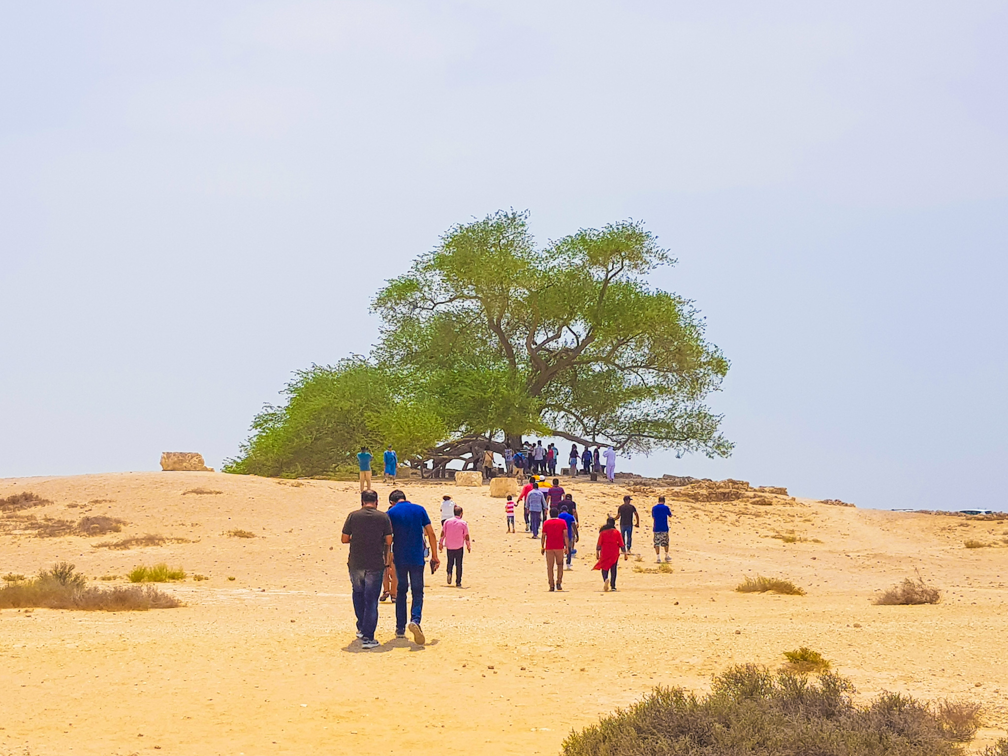 Things To Do In Bahrain In One Day | Bahrain Blog Must Visit