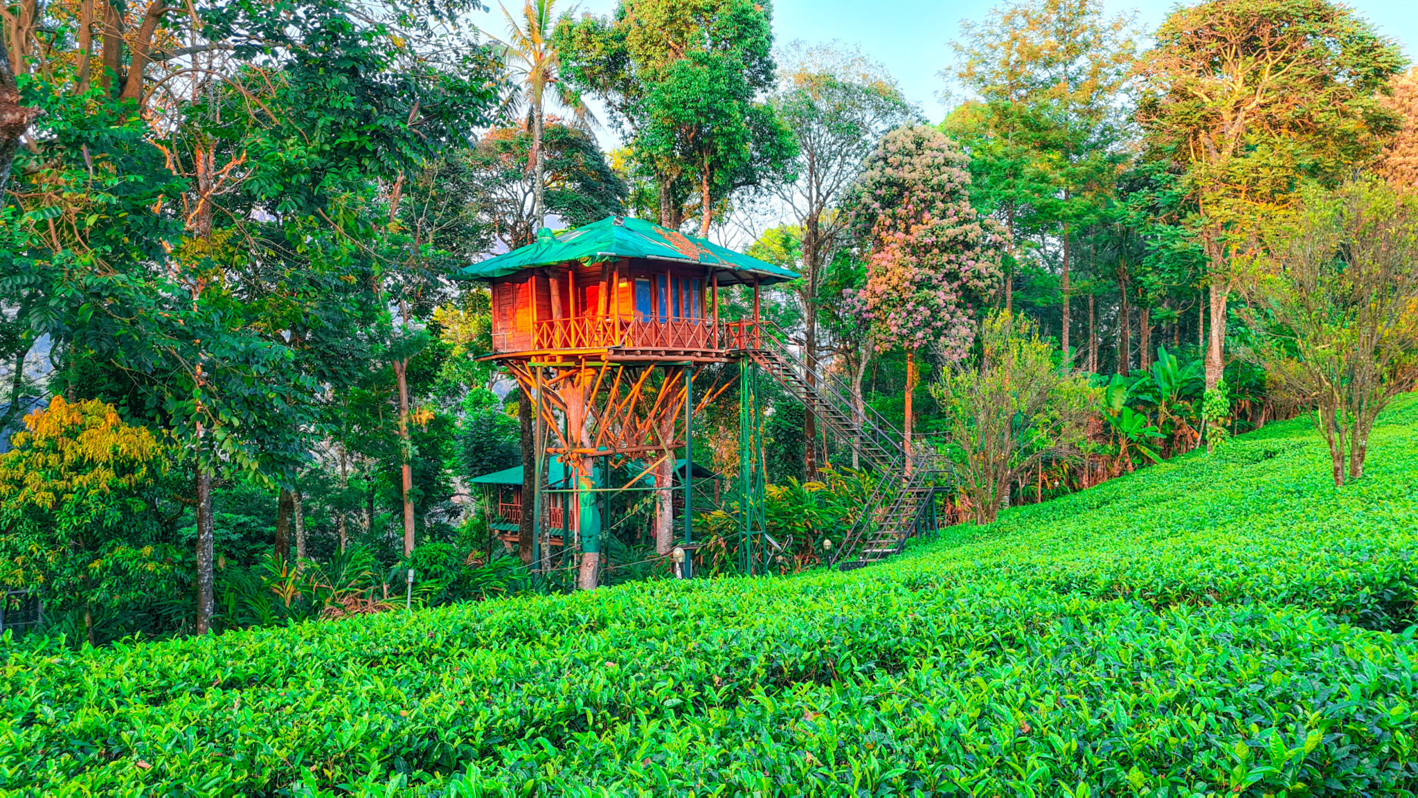Elixir Hills Munnar Review | Best Resorts In Munnar, Kerala