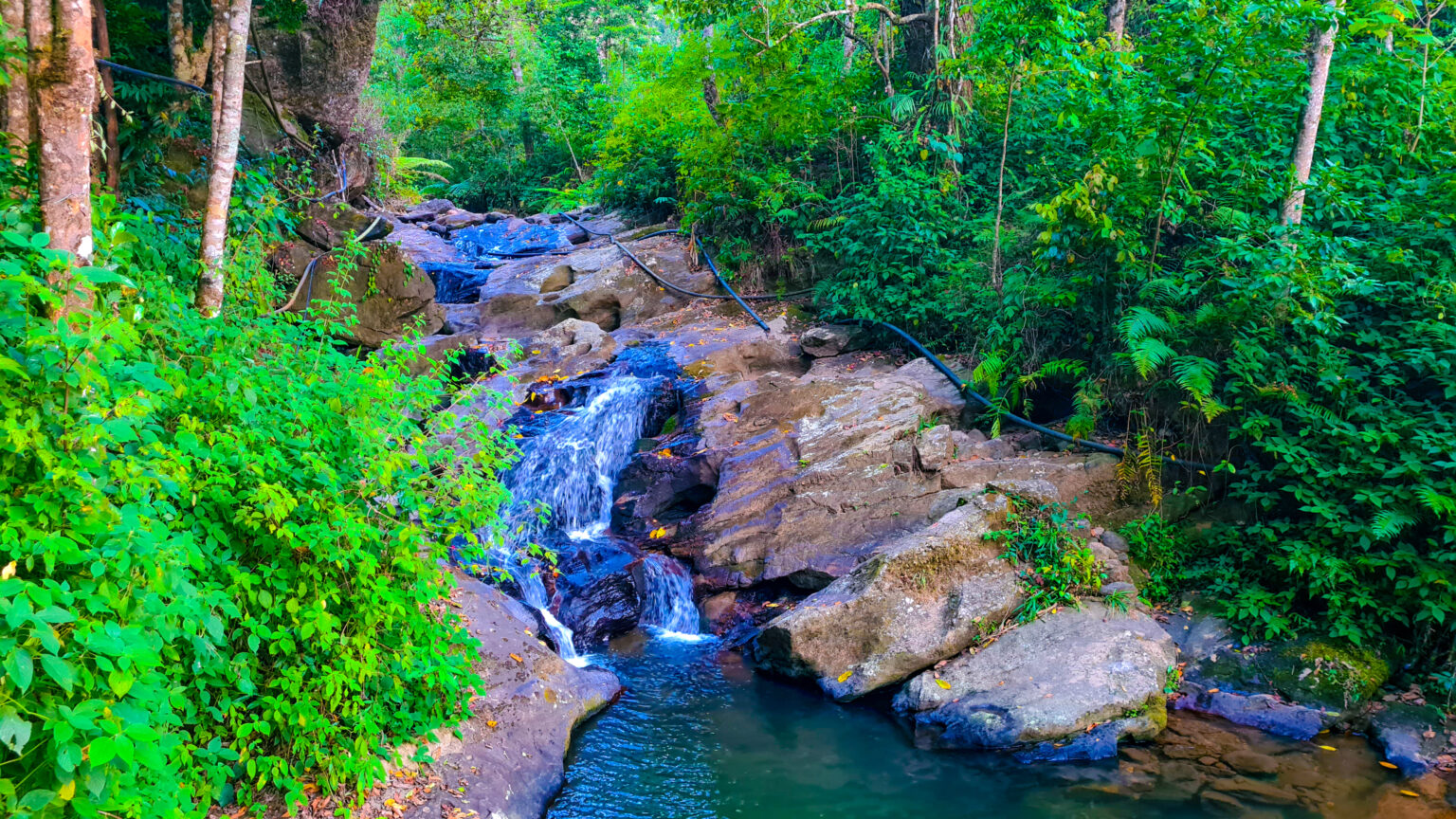 Elixir Hills Munnar Review | Best Resorts In Munnar, Kerala